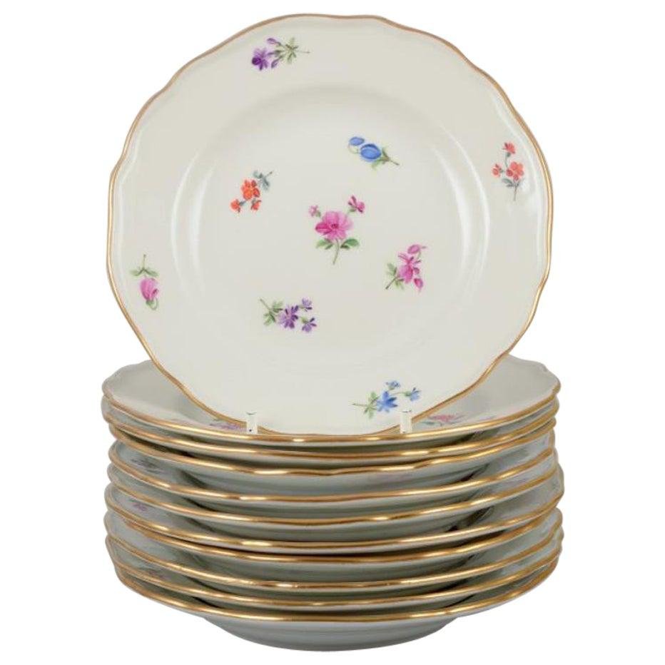 Small German Plates in Porcelain from Meissen, 1920s, Set of 11 for ...