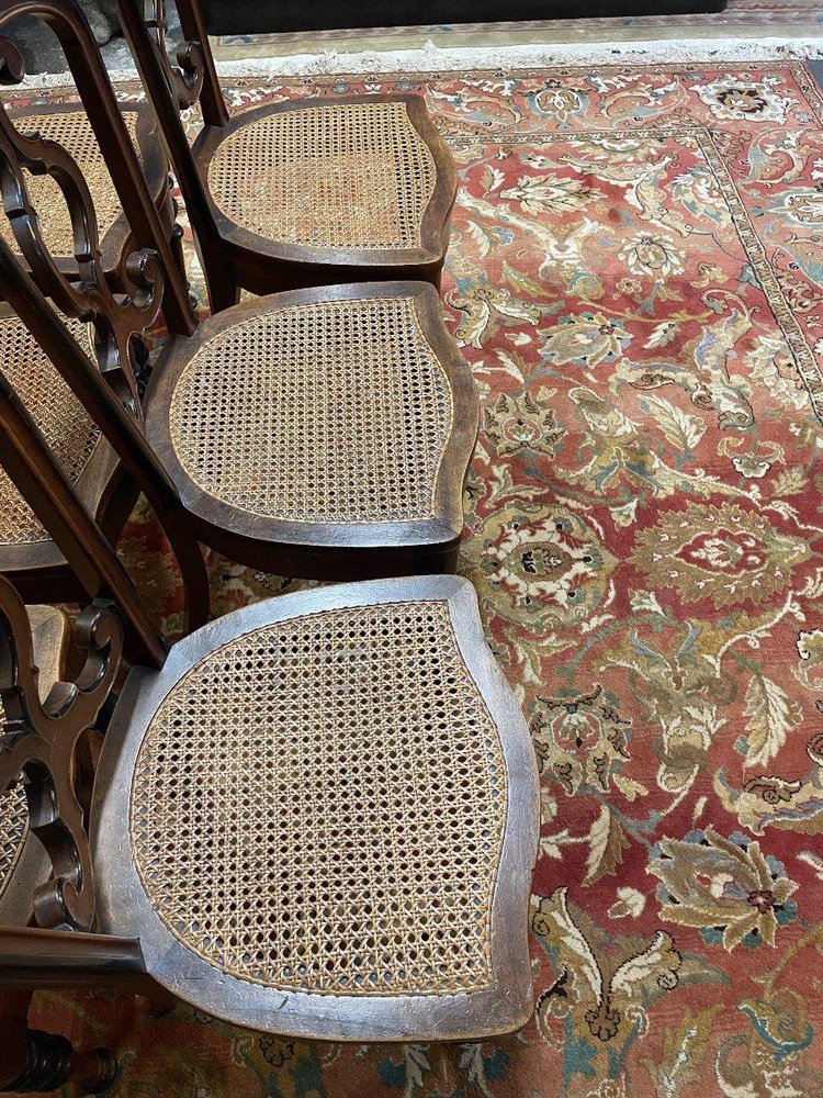 Napoleon III Louis Philippe Cane Chairs, Set of 6 for sale at Pamono