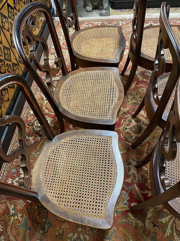 Napoleon III Louis Philippe Cane Chairs, Set of 6 for sale at Pamono