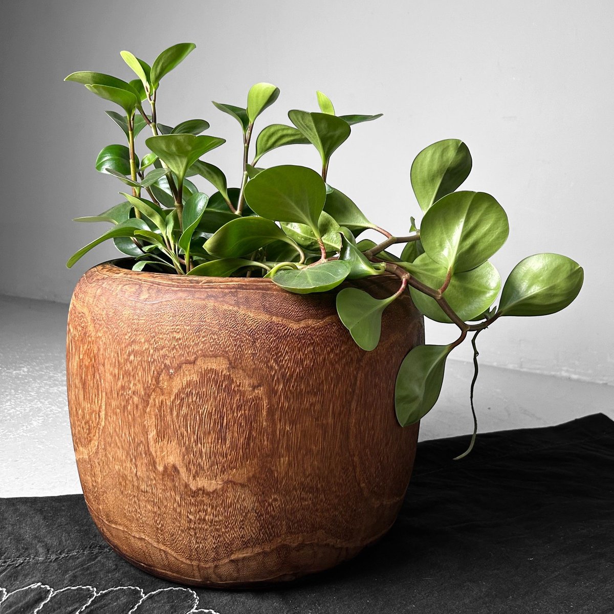 Traditional Japanese Fire Pot, 1920s for sale at Pamono