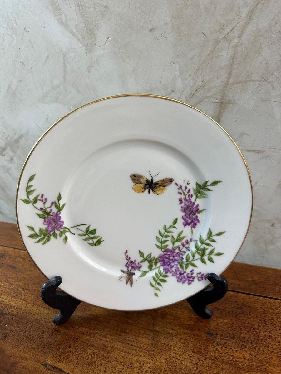 Limoges Porcelain Plates, 1920, Set of 12 for sale at Pamono