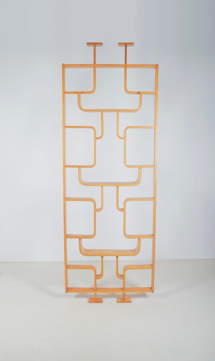 Room Divider attributed to Volak for Drevopodnik Holesov, 1960s for ...