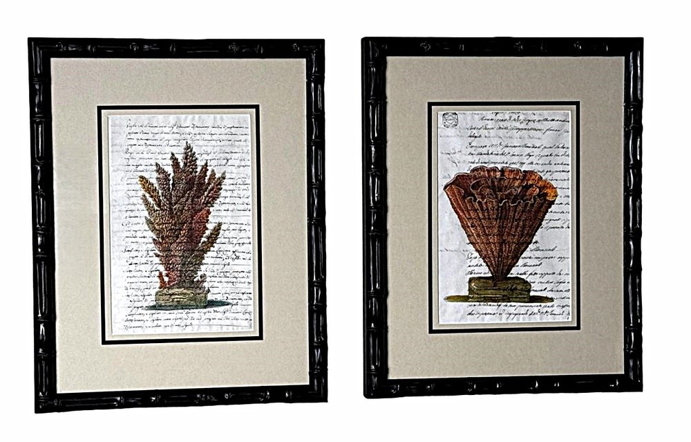 Italian Artist, Shell Artworks with Overwritten Text, 1750, Prints ...