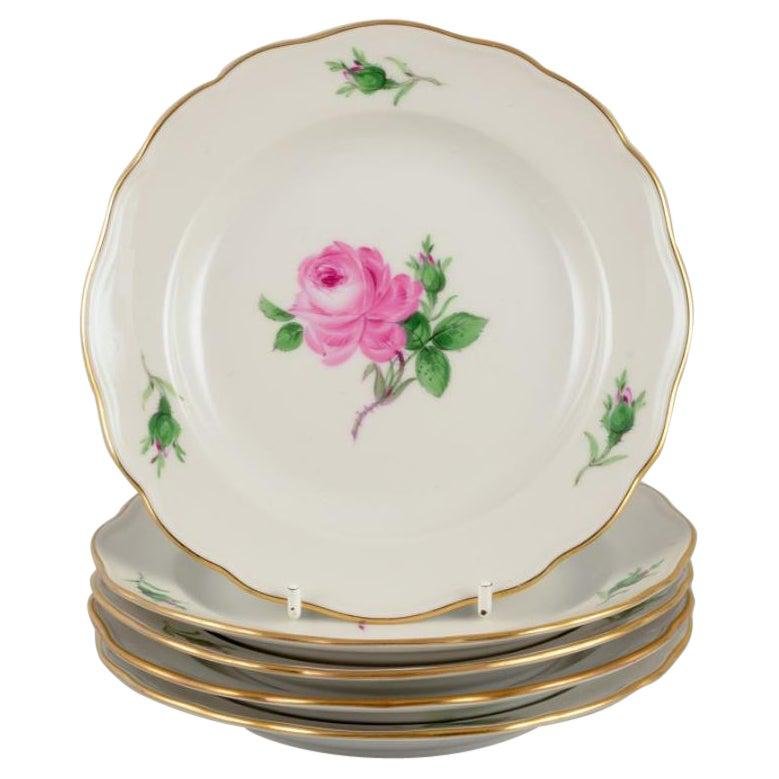 Vintage German Pink Rose Plates in Porcelain from Meissen, 1920s, Set ...