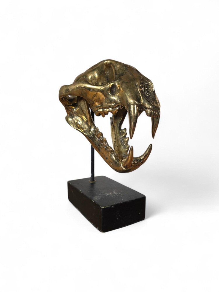 Bronze Lion Skull Sculpture, 1950s for sale at Pamono