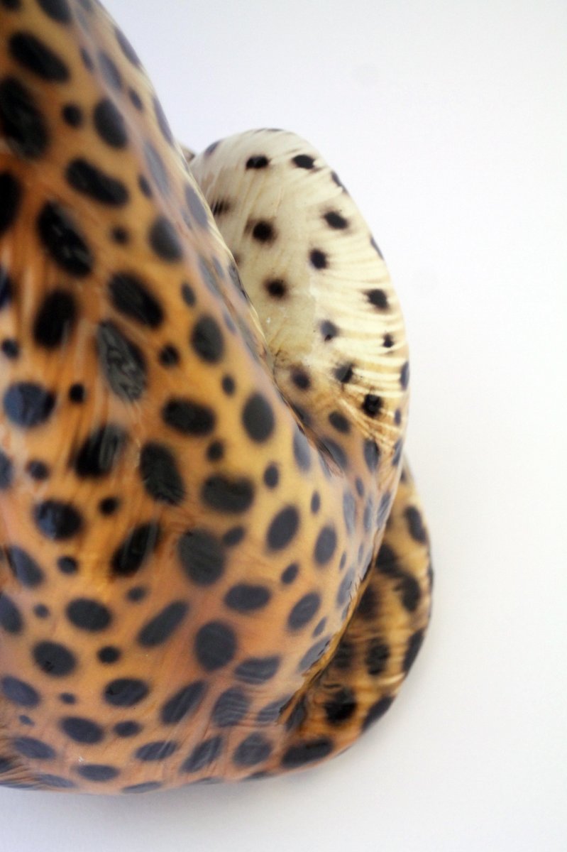Mid-Century Ceramic Cheetah Sculpture by Giovanni Ronzan, Italy, 1960s ...