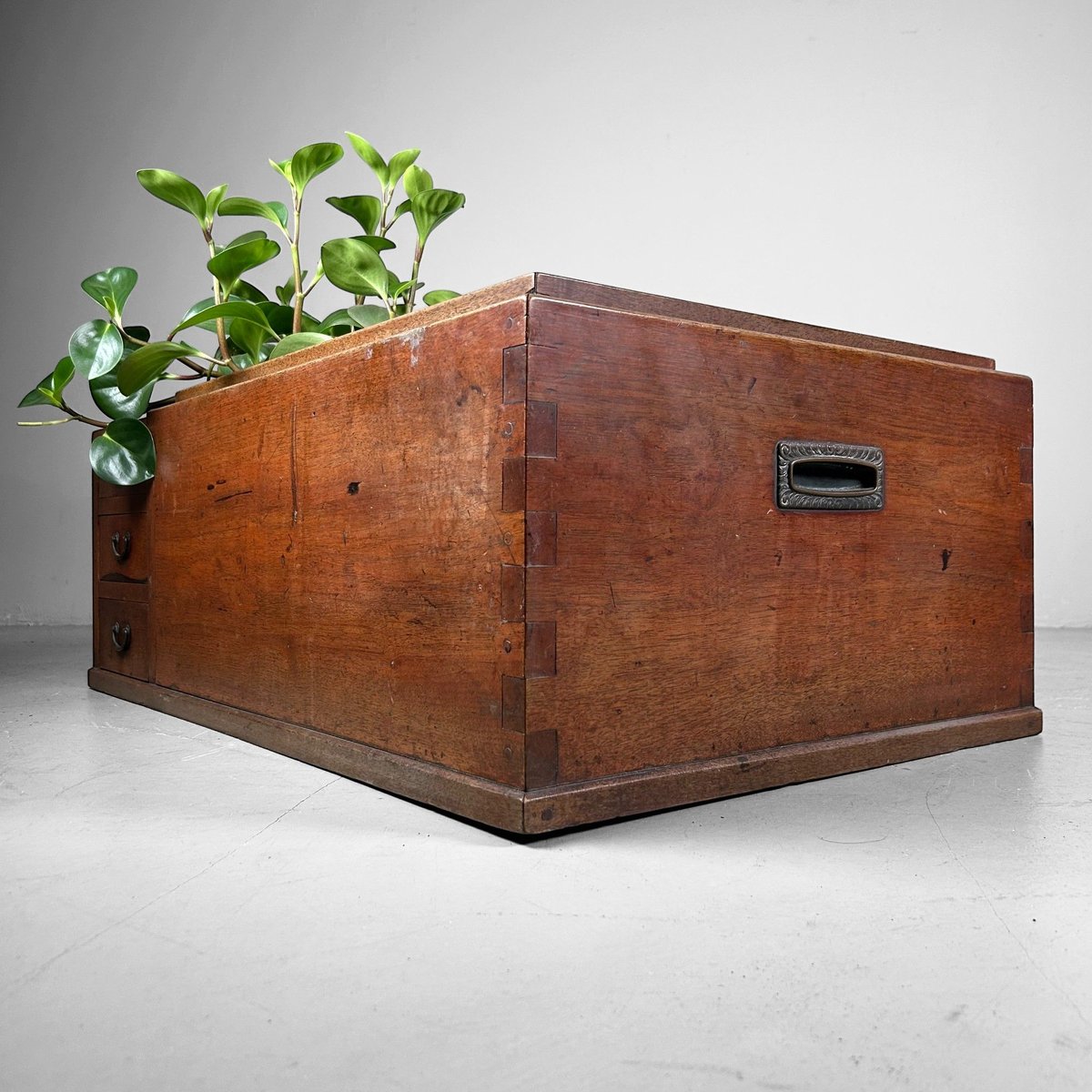 Japanese Traditional Planter, 1890s for sale at Pamono