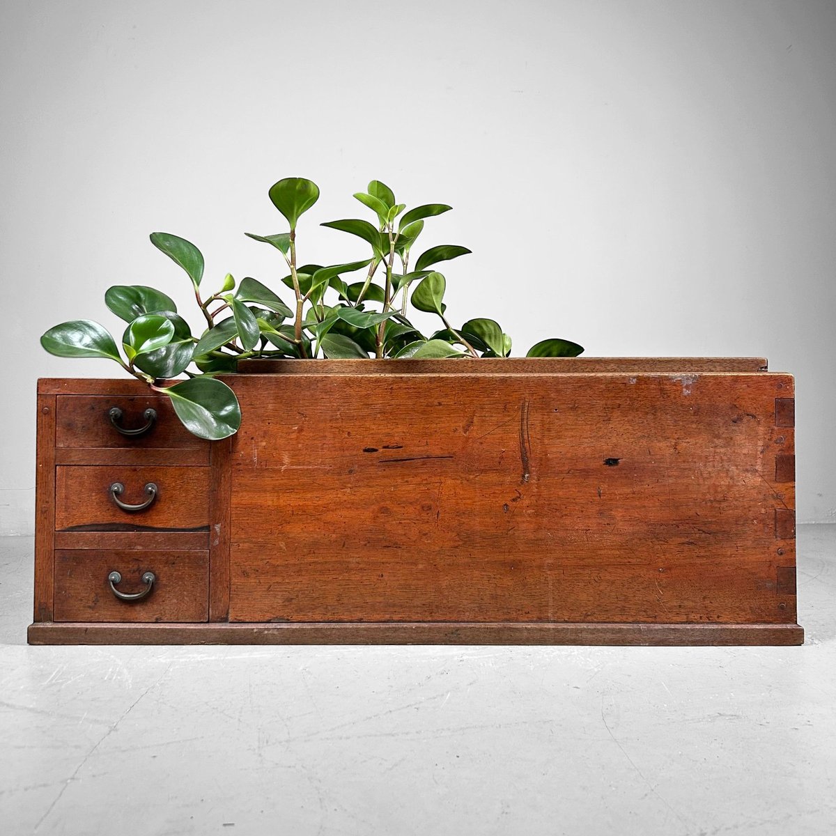 Japanese Traditional Planter, 1890s for sale at Pamono