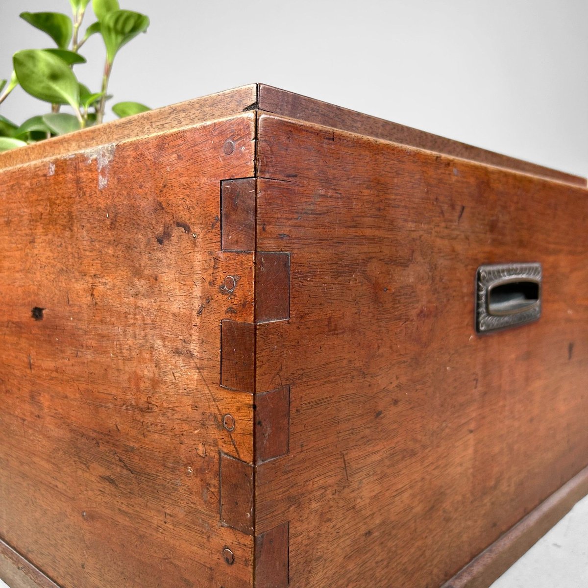 Japanese Traditional Planter, 1890s for sale at Pamono