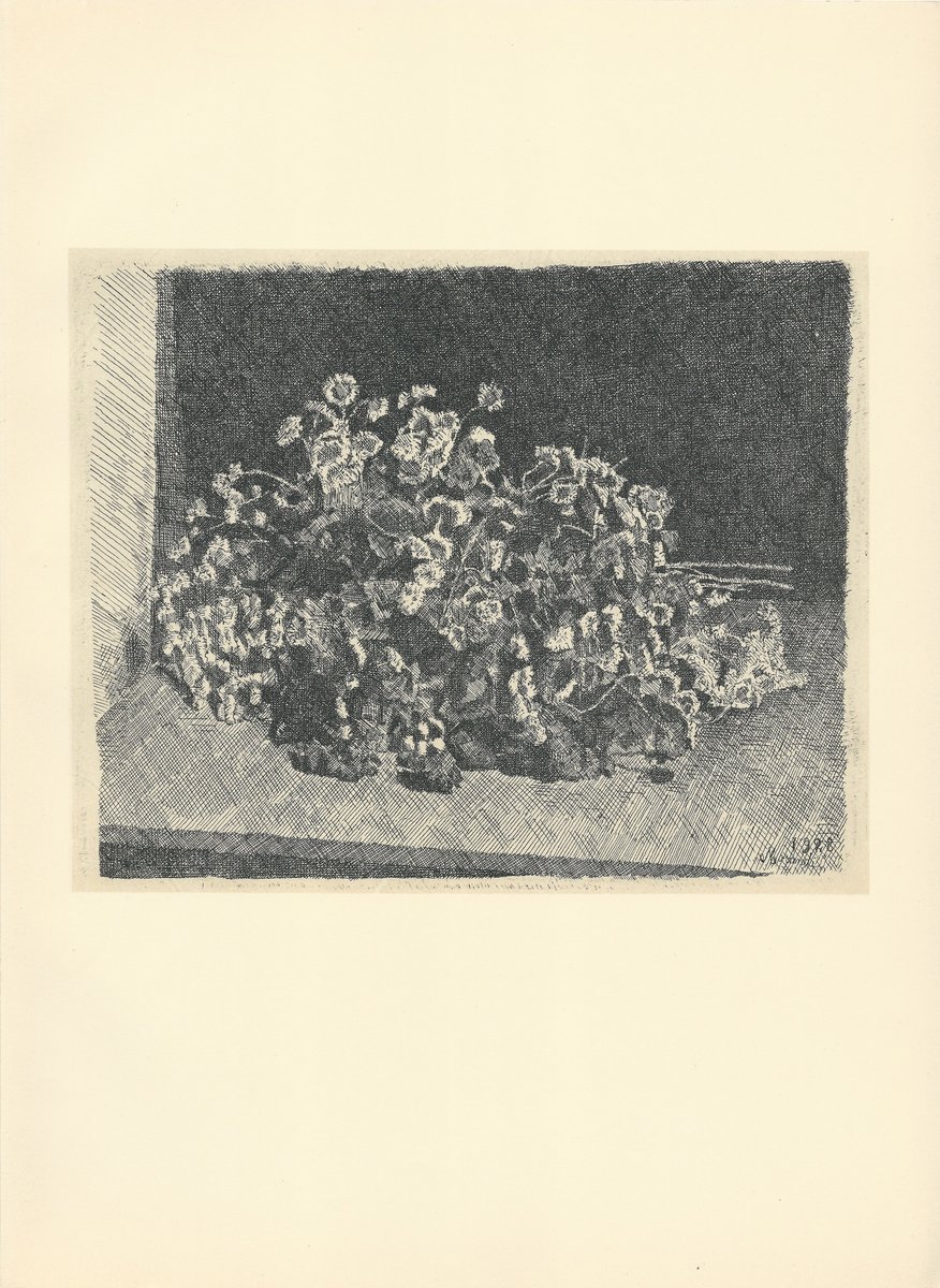 Giorgio Morandi, Chrysanthemum Flowers on a Table, 1928-1957 ...