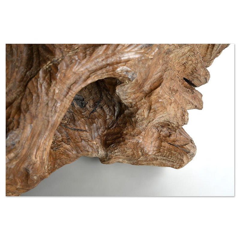 Carved Teak Root Sculpture for sale at Pamono