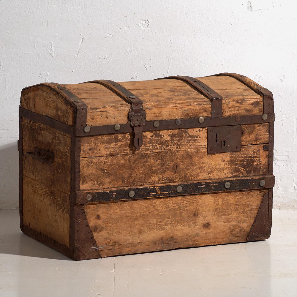 Large Antique Washed Wood Trunk, 1900 for sale at Pamono