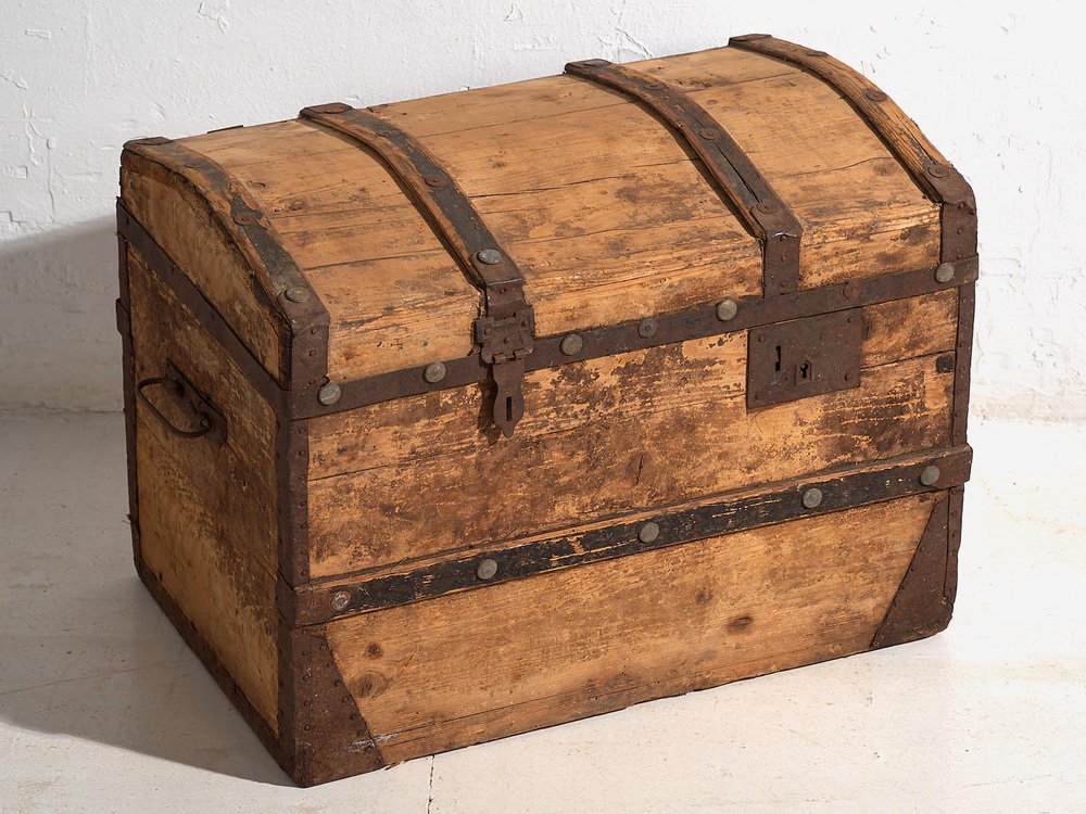 Large Antique Washed Wood Trunk, 1900 for sale at Pamono