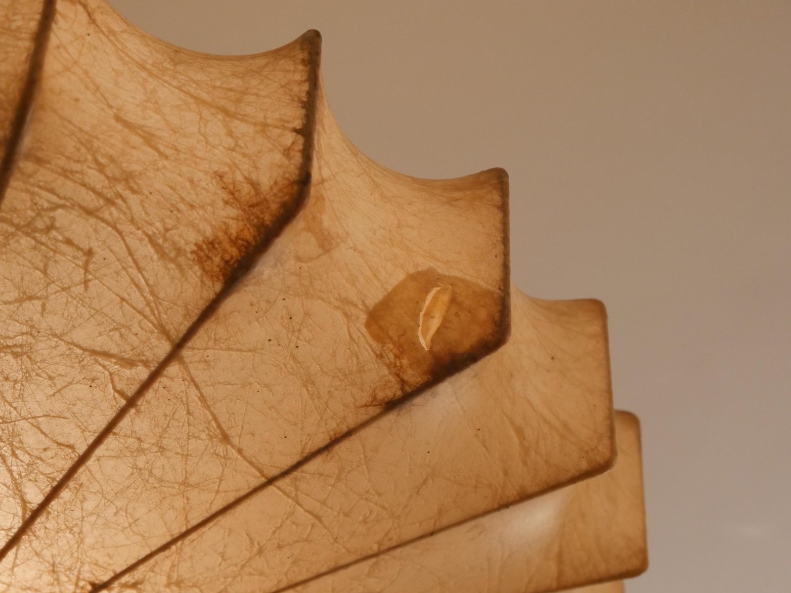 Shape Cocoon Pendant Light, 1960 for sale at Pamono