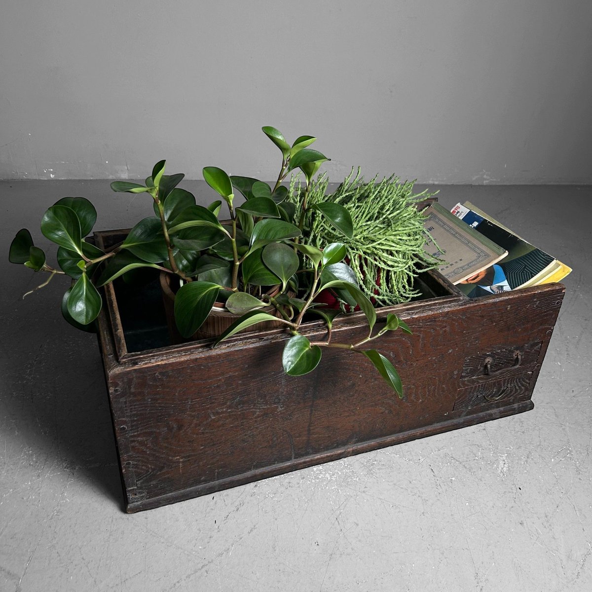 Japanese Traditional Planter, 1920s for sale at Pamono