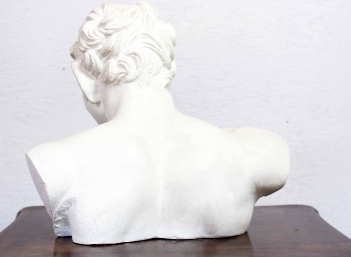 Vienna Faun Satyr Bust, 1970s for sale at Pamono