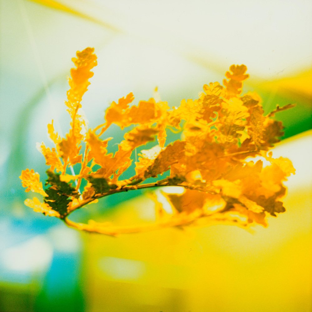 MK Semos, Abstract Image, Film Photograph, 2025 for sale at Pamono