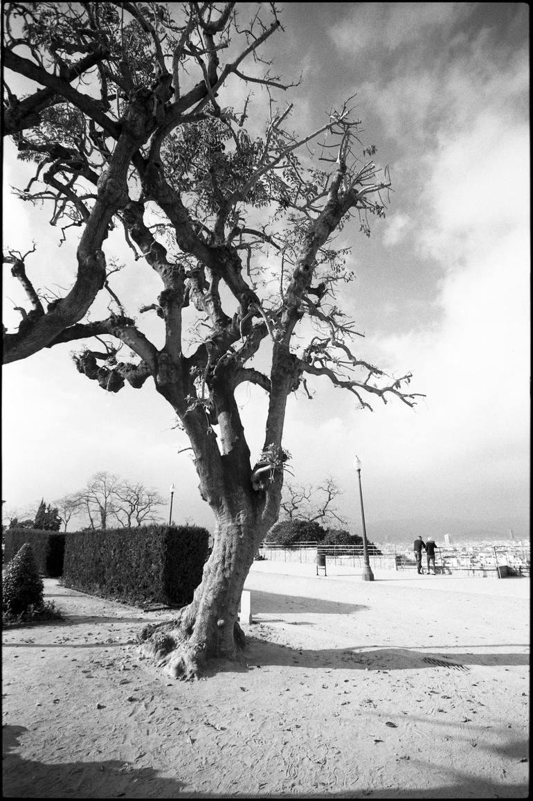 Paul Cooklin, Barcelona, 2016, Photograph for sale at Pamono