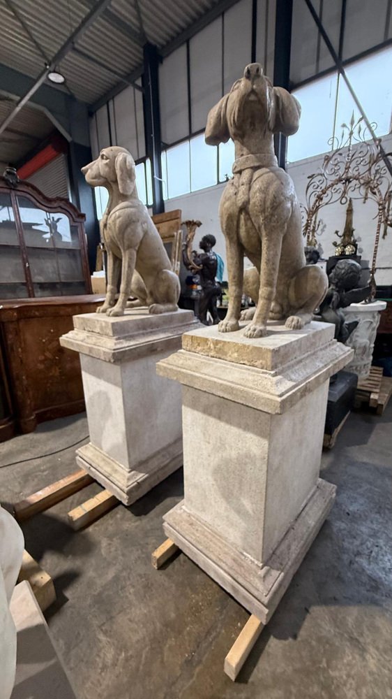 20th Century Hand-Carved Stone Dogs on Plinths for sale at Pamono