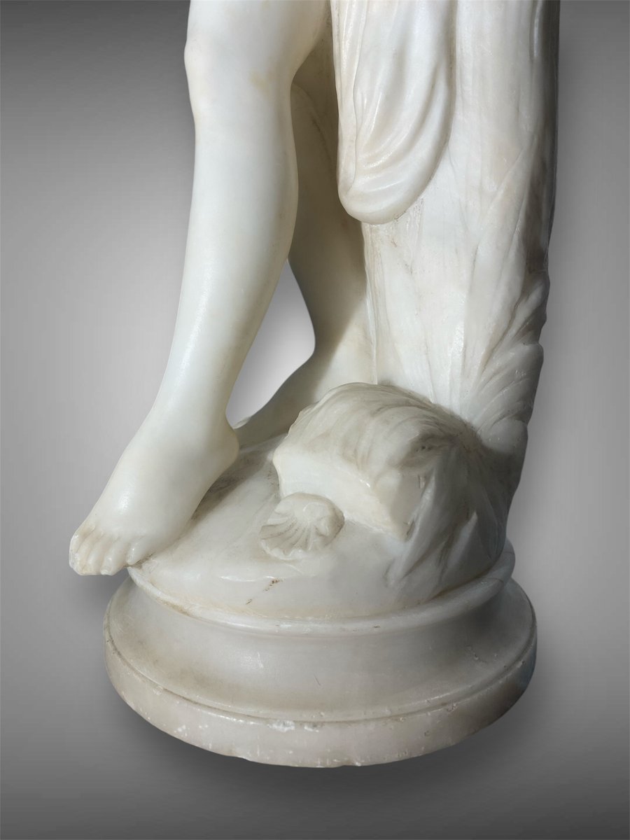 Bathing Venus Sculpture, 19th Century, Carrara Marble for sale at Pamono
