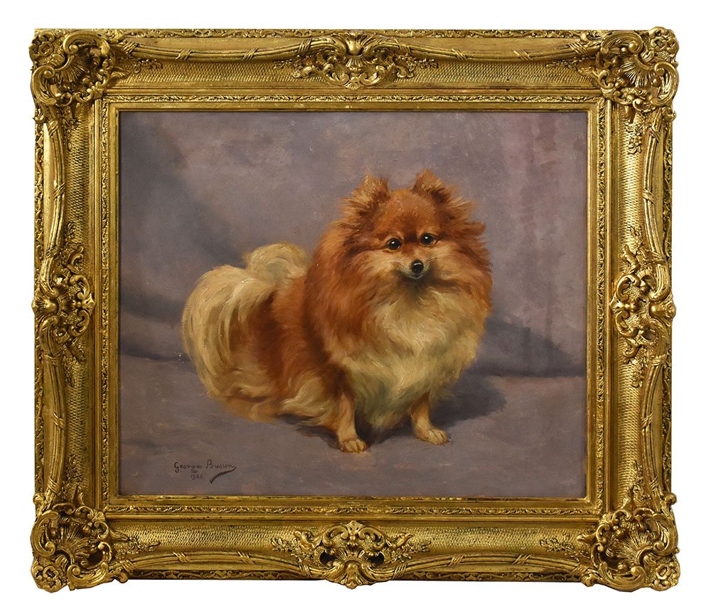Georges Louis Charles Busson, Pomeranian Dog, Oil on Canvas, 20th ...