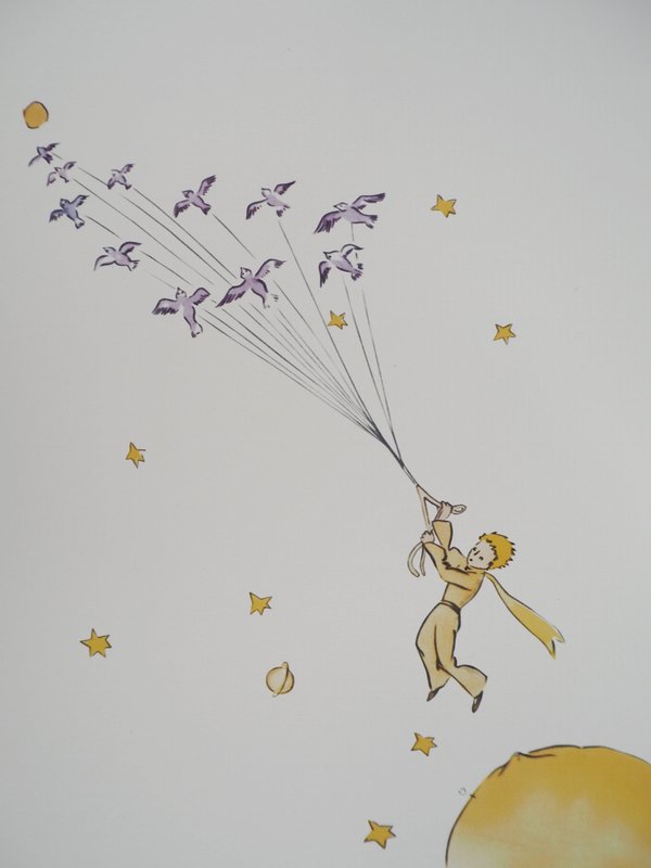 Antoine de Saint-Exupery, The Flight of the Little Prince and the Birds ...