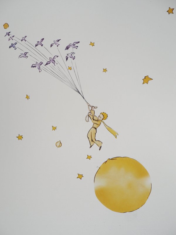 Antoine de Saint-Exupery, The Flight of the Little Prince and the Birds ...