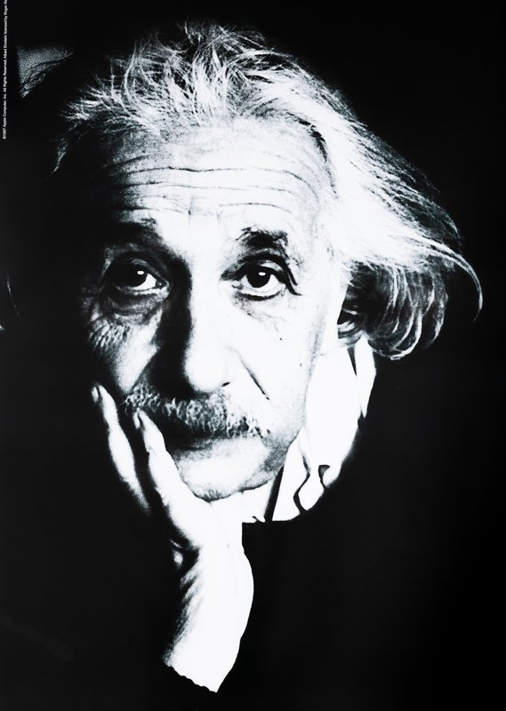 Apple Albert Einstein Poster for sale at Pamono