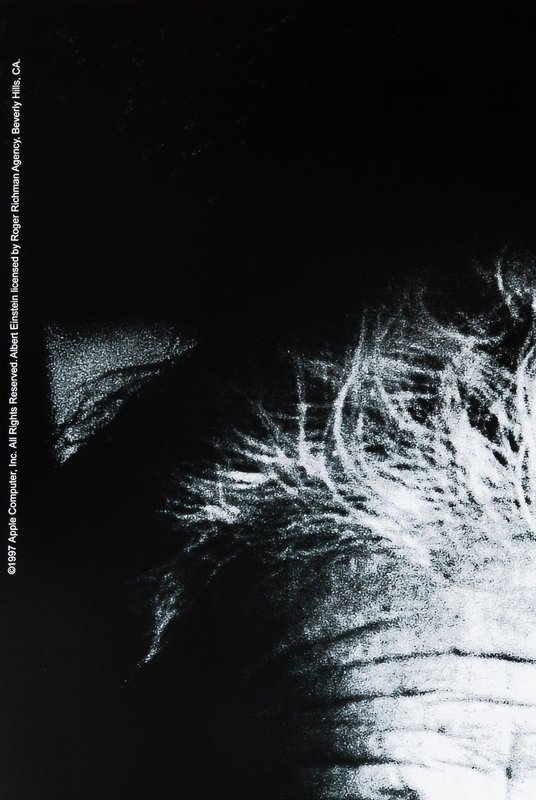 Apple Albert Einstein Poster for sale at Pamono