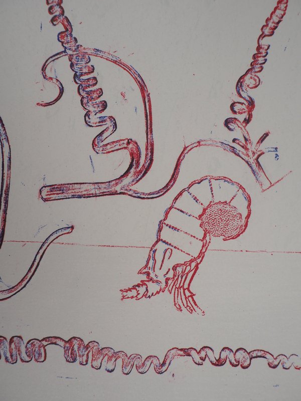 Max Ernst, Surrealist Composition, Lithograph for sale at Pamono