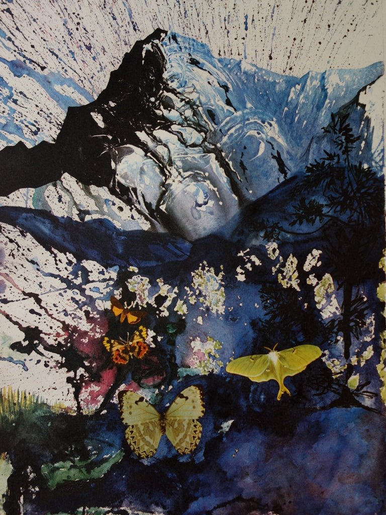 Salvador Dali, Alps, Lithograph & Etching for sale at Pamono