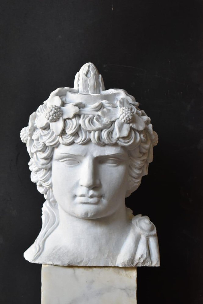 Hand-Carved Townley Antinous Bust Sculpture, 20th Century, Marble for ...
