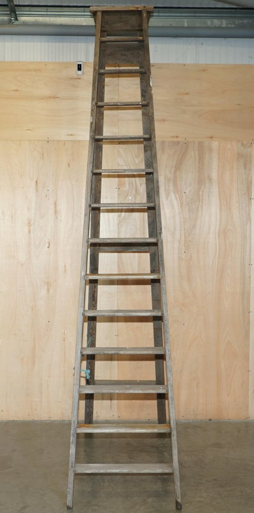 Antique Fruit Pickers Painters Ladder, 1880 for sale at Pamono