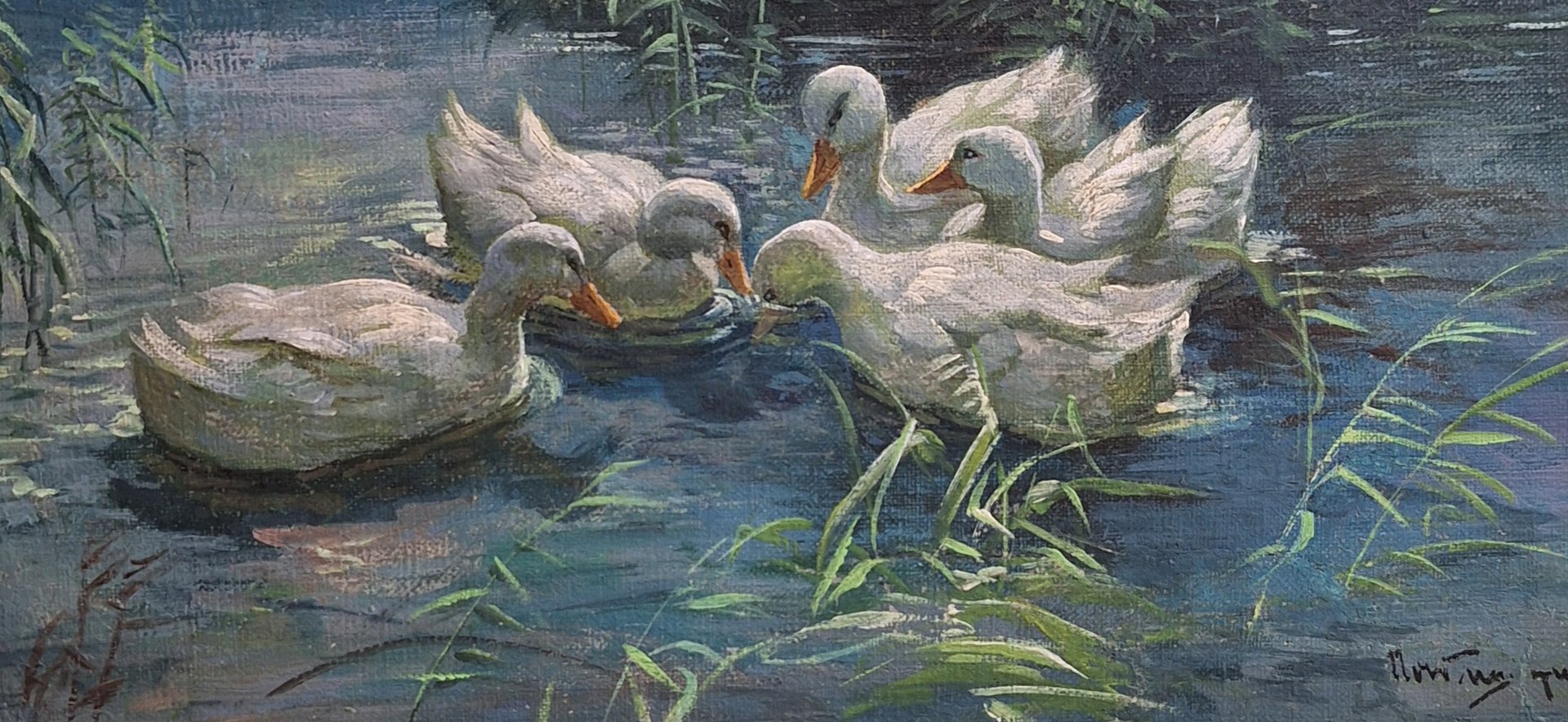 Five Ducks in the Pond, 1910s, Oil on Canvas for sale at Pamono