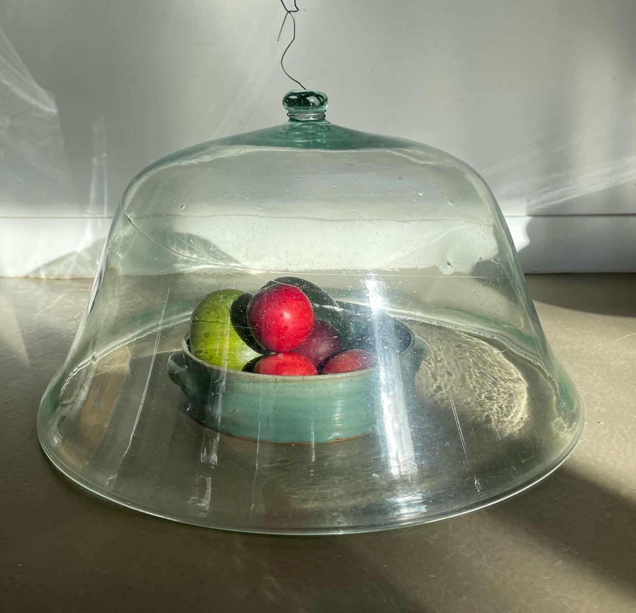 Antique French Cloche de Melon, 19th Century for sale at Pamono