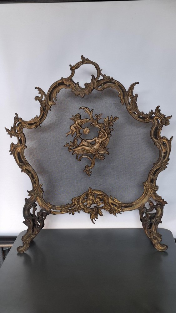 19th Century Louis XV Bronze Fireplace Fire Screen, 1890s for sale at ...