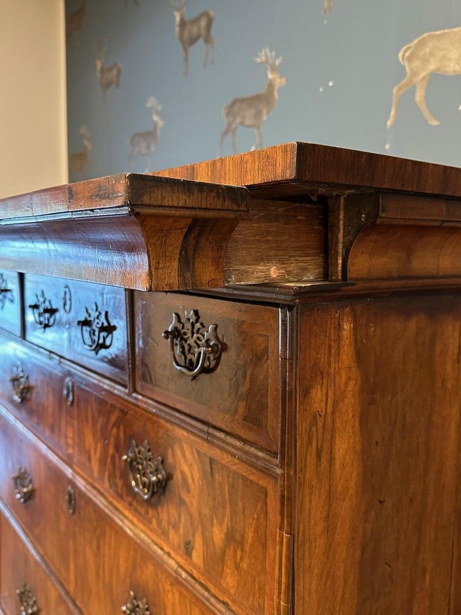 Antique Burl Walnut Chest, 18th Century for sale at Pamono