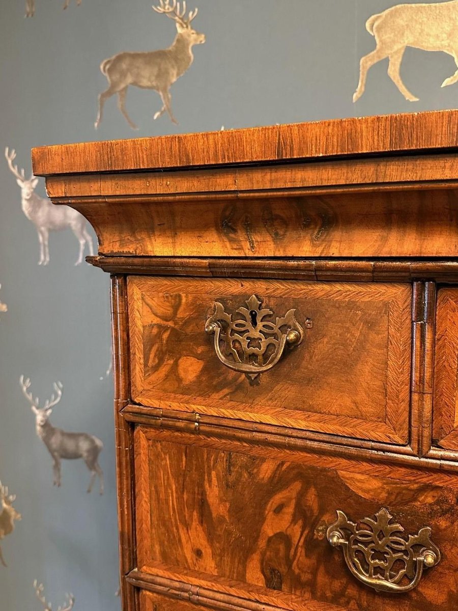 Antique Burl Walnut Chest, 18th Century for sale at Pamono