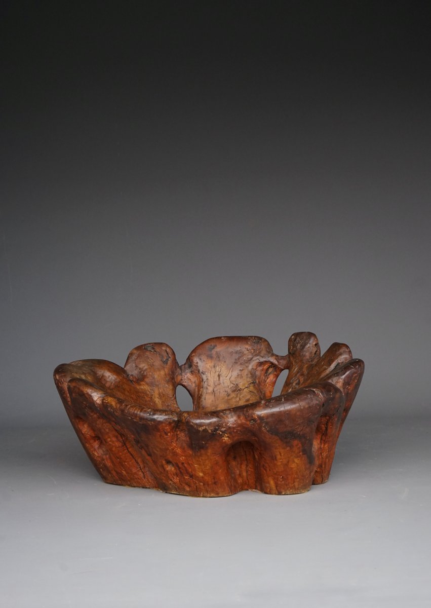 Teak Free-Form Root Wood Chair, 1970s for sale at Pamono