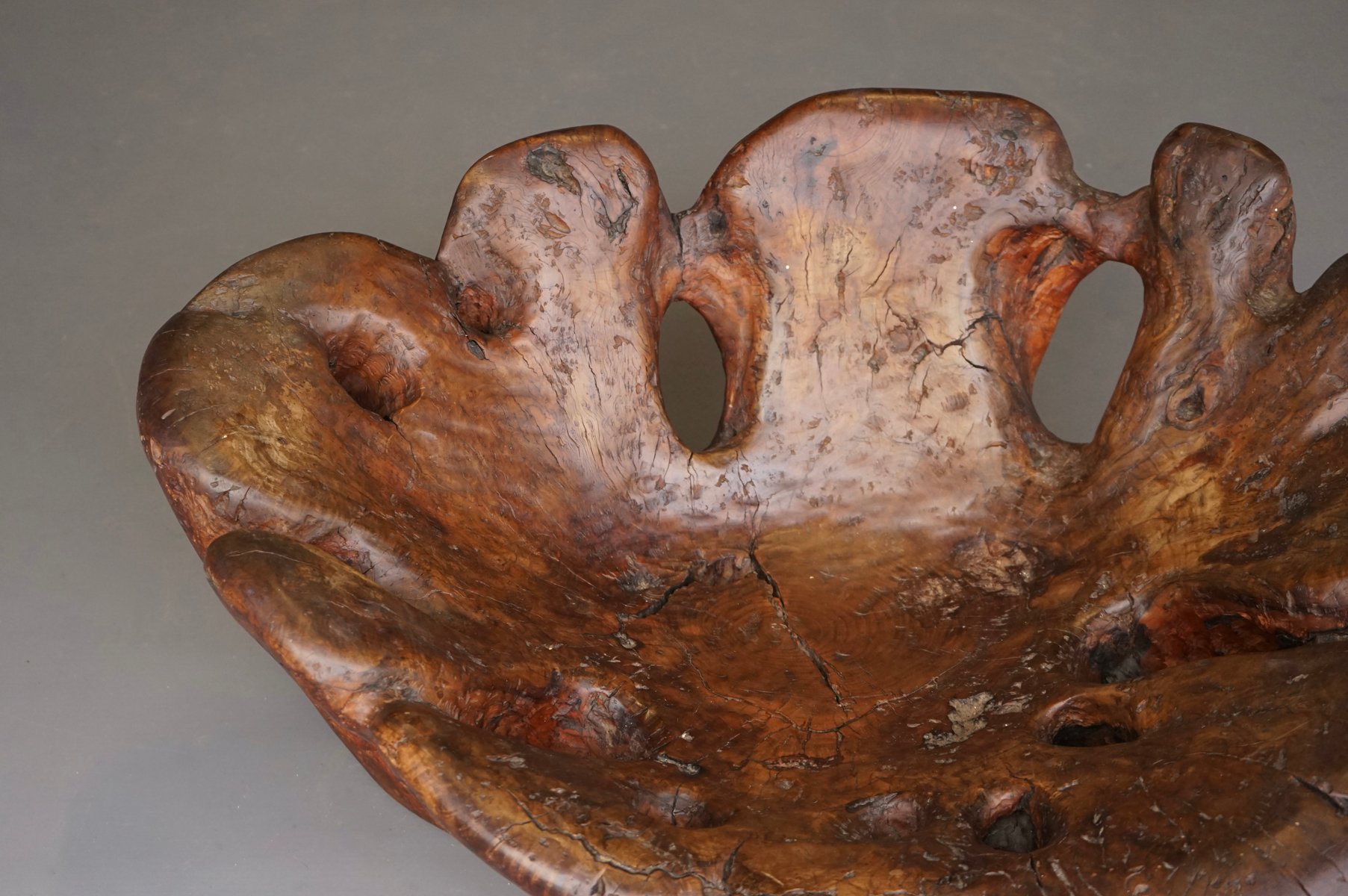 Teak Free-Form Root Wood Chair, 1970s for sale at Pamono