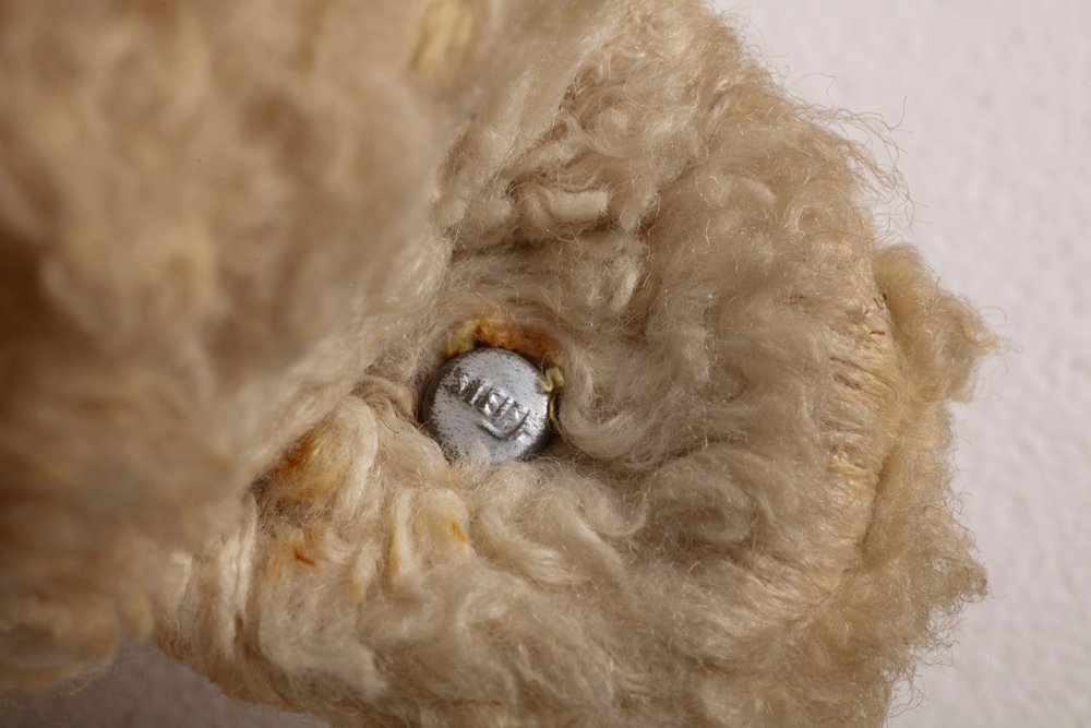 Vintage Teddy from Steiff, 1920s for sale at Pamono