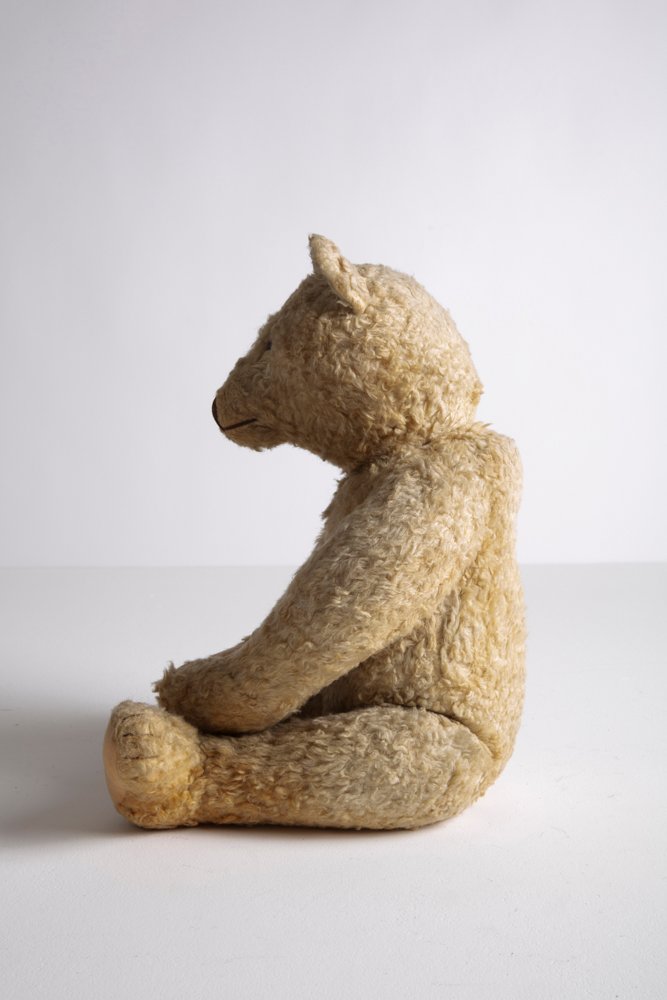 Vintage Teddy from Steiff, 1920s for sale at Pamono