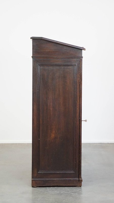 Antique Display Presentation Cabinet in Oak with Glass Door for sale at ...