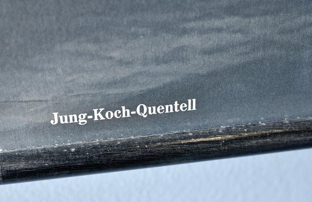 Wall Chart of the Mole by Jung-Koch-Quentell, 1950s for sale at Pamono