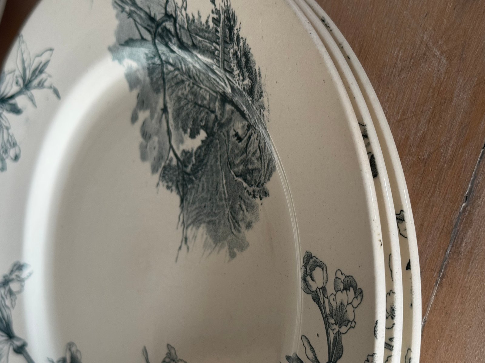 Creil Montereau Cherry Tree Plates, Set of 12 for sale at Pamono