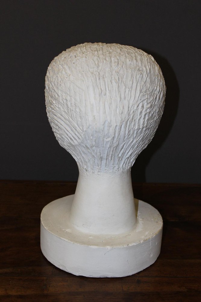 Head of Diana in Plaster, 1950s for sale at Pamono