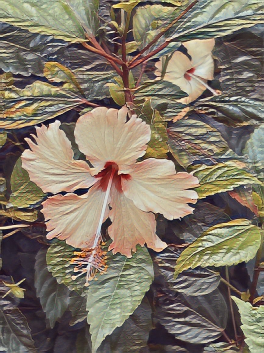 Ian Jones, Flowers in Vietnam, Print for sale at Pamono