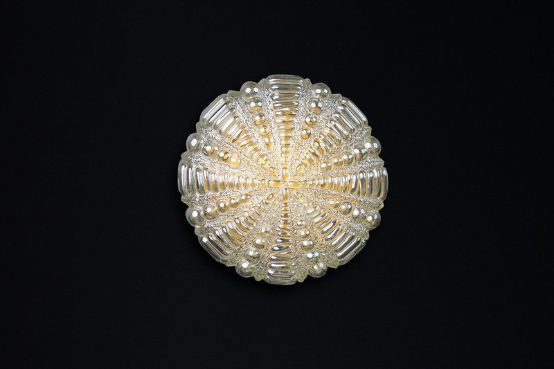 Mid-Century Modern Amber Glass Wall Lights attributed to Kaiser Idell ...