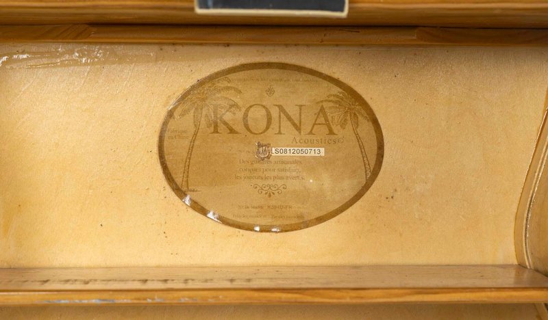 20th Century Kona Guitar Transformed Into a Shelf for sale at Pamono