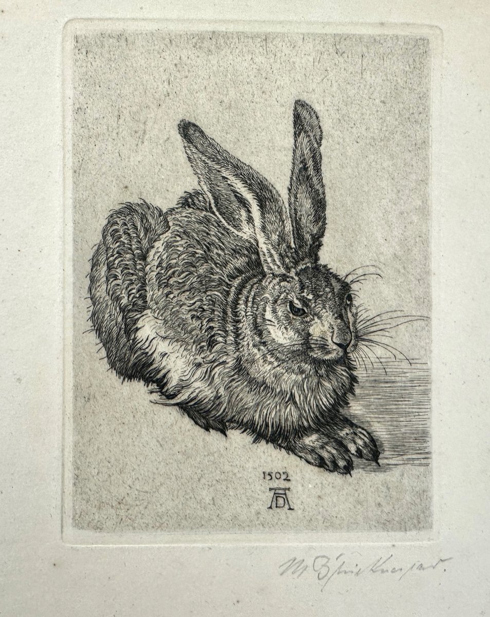 After Albrecht Dürer, Young Hare, Copperplate Engraving, 19th Century ...